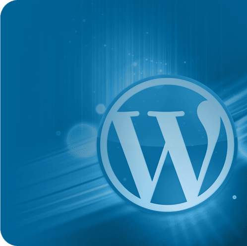 Silicon Website Experts